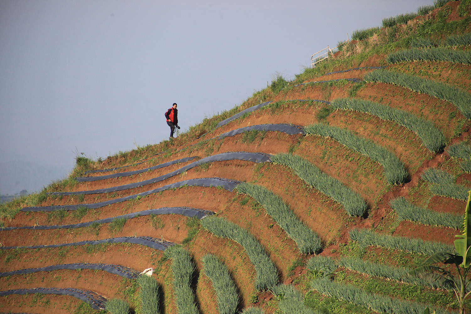 Uniknya Terasering Panyaweuyan Argapura, Majalengka Jawa Barat | Beyond ...