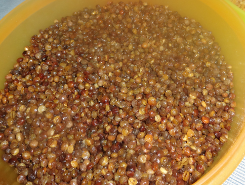 Abhi Kitchen: Moong / Channa / Dal Moth Namkeen