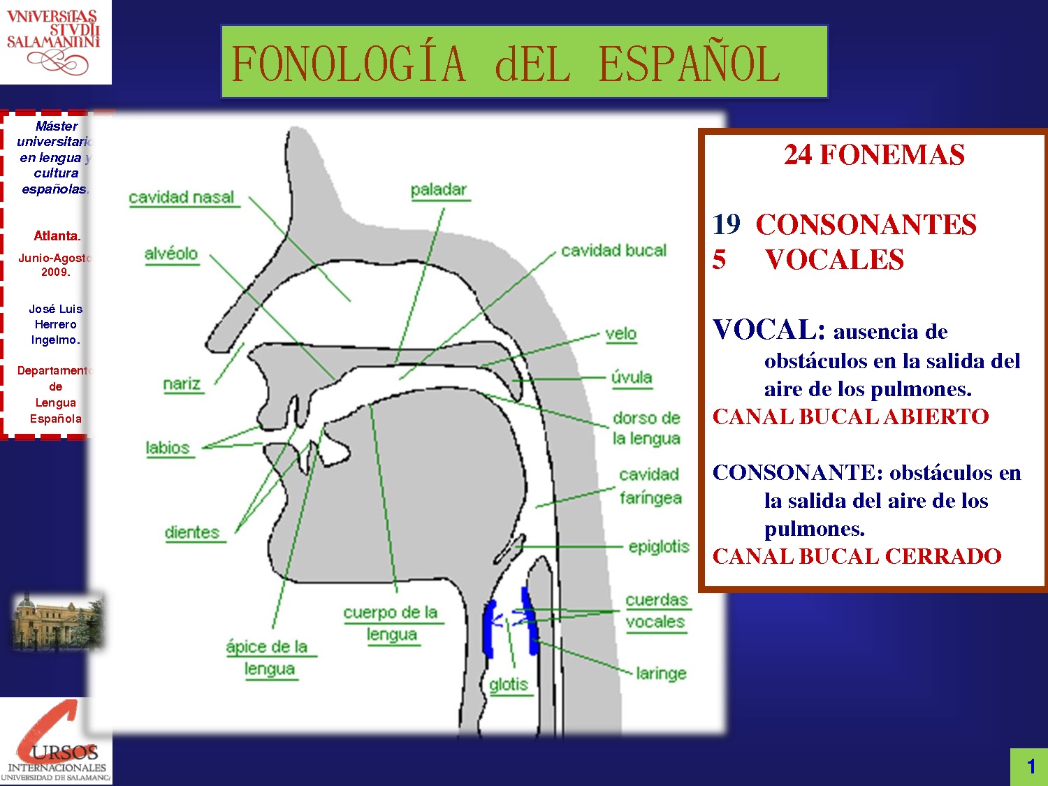 Café Literario - El Aroma de las Letras: Fonemas consonánticos y ...