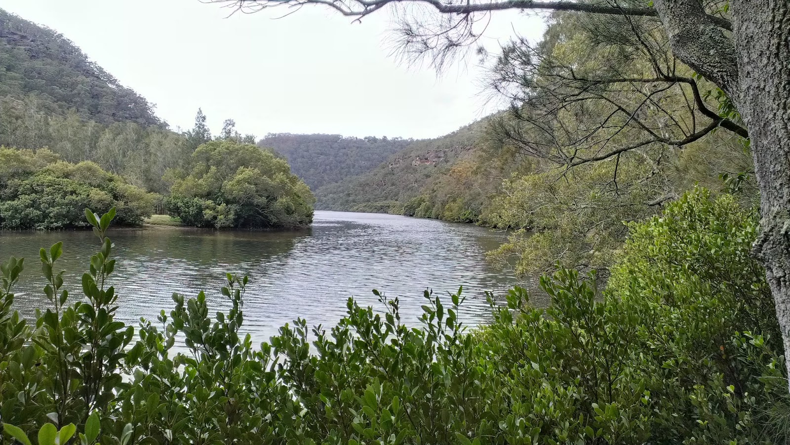 NSW National Parks Quest: Berowra Valley National Park
