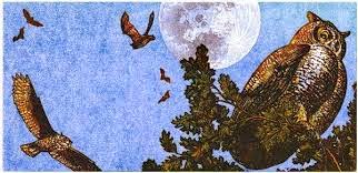 Lifetime Literacy: Dark Emperor & Other Poems of the Night by Joyce ...