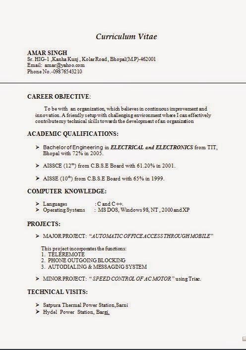 international cv template
