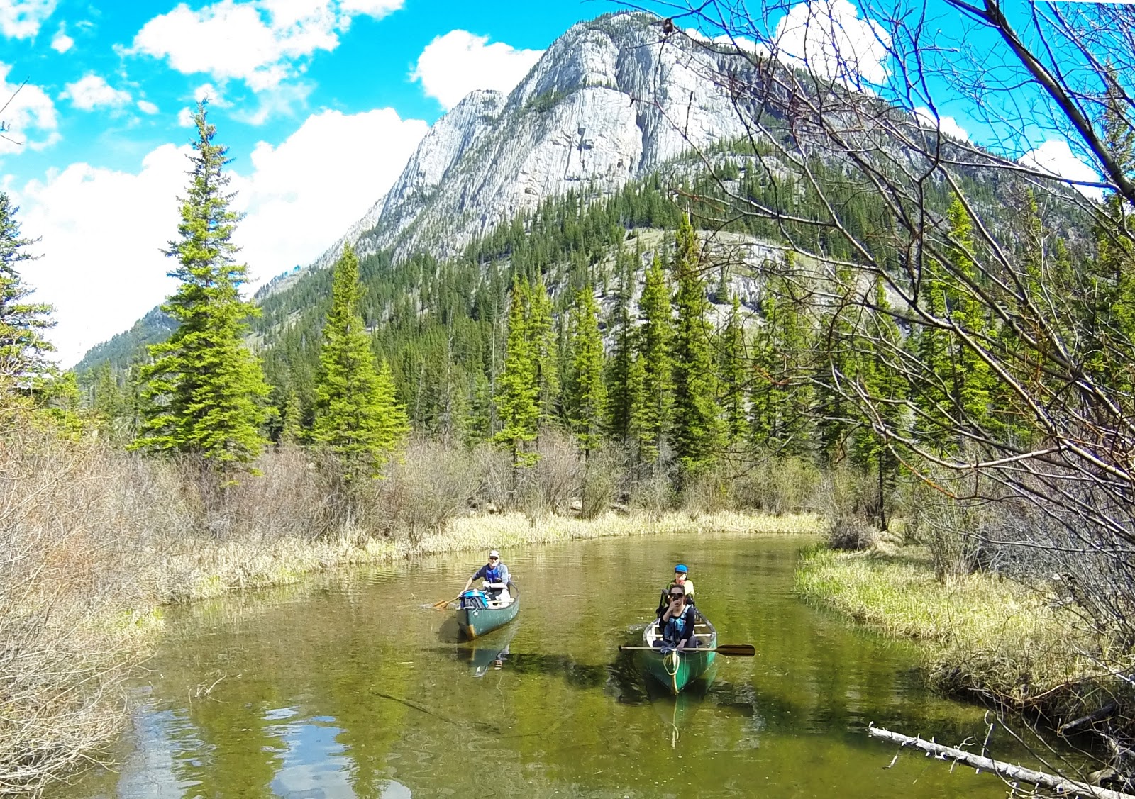 Revlo: From Amsterdam to Back Swamp in Banff National Park