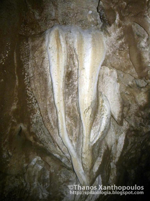 ΣΠΗΛΑΙΟΛΟΓΙΑ - SPELEOLOGY IN GREECE : ΚΑΤΑΒΟΘΡΑ ΦΤΕΡΟΛΑΚΑ - ΠΑΡΝΑΣΣΟΣ ...