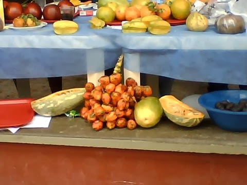 MONICA VANESA MENA CASTILLO