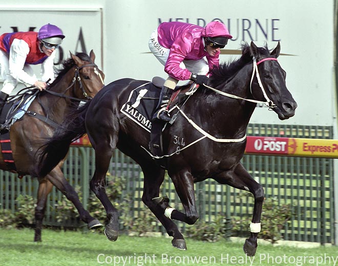 And the crowd roared "Go Lonhro, Go!!!!"