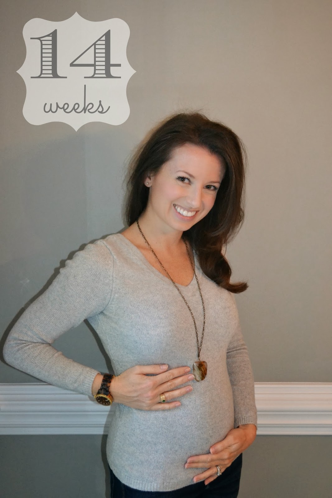 SMIDGE OF THIS: Week 14 Pregnancy Journal