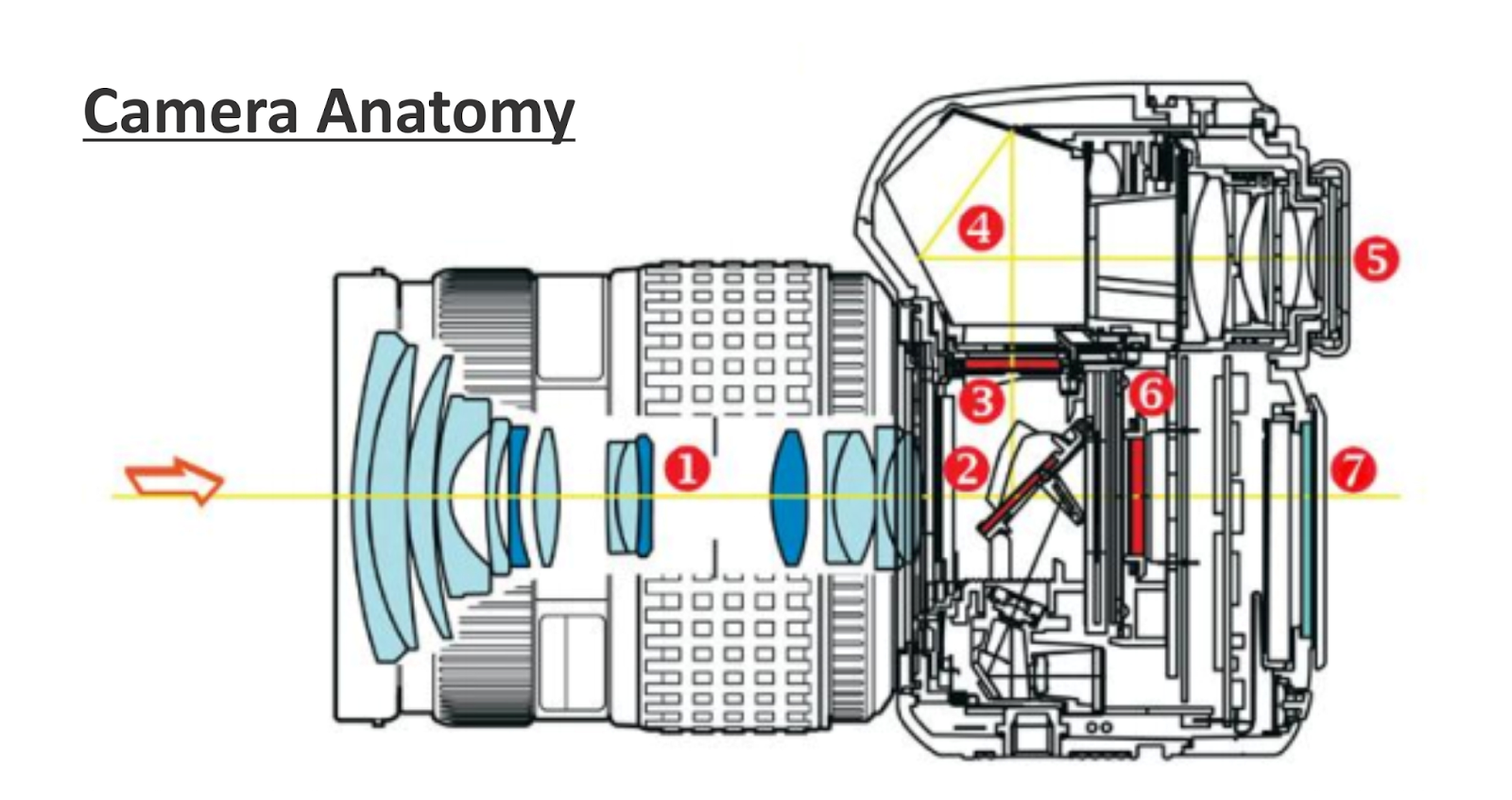 CAMERA ANATOMY - Boekan Potographer | Ari Sontong | Muhammad Asy'Ari 2014