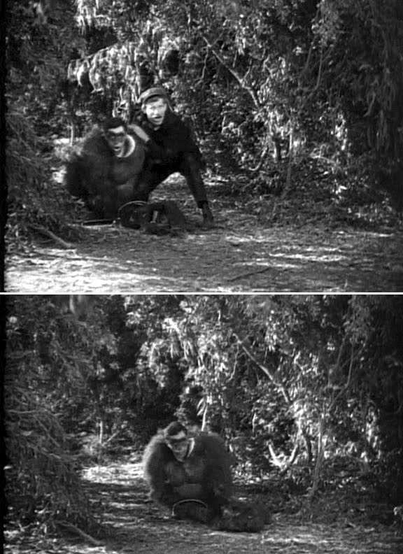 Hollywood Gorilla Men: Charlie Gemora unmasked