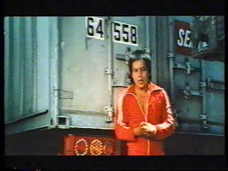 BRUCE LEUNG (LEUNG SIU LUNG) 梁小龍