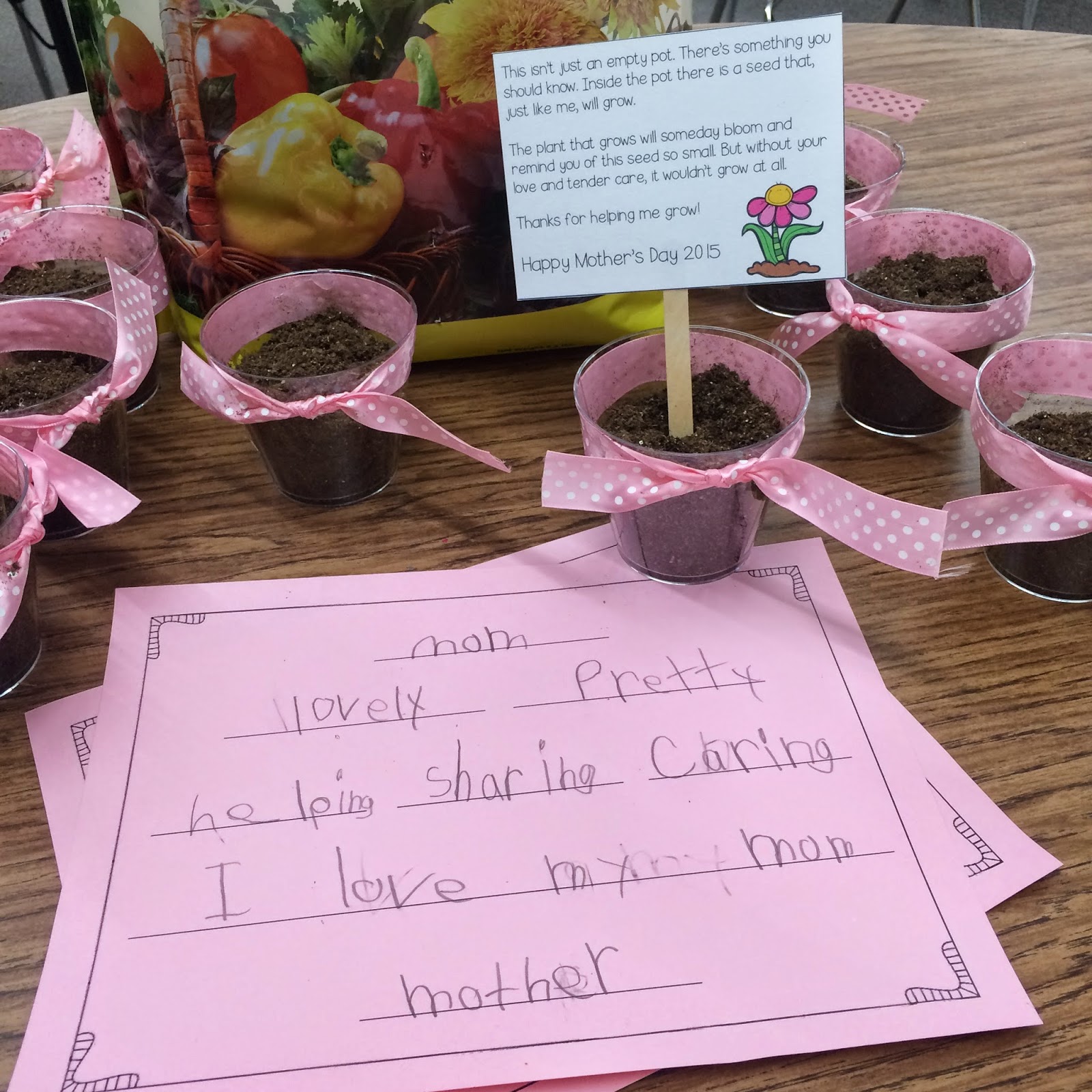 Mother's Day Gift | Falling into First