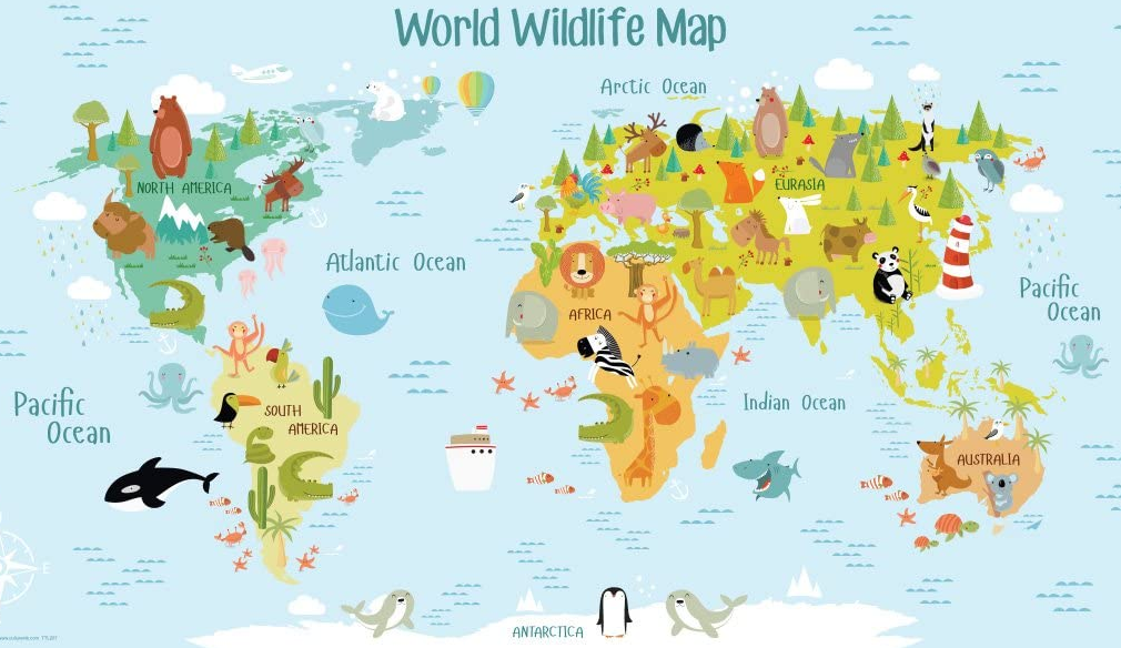 The World Around Us Wednesday