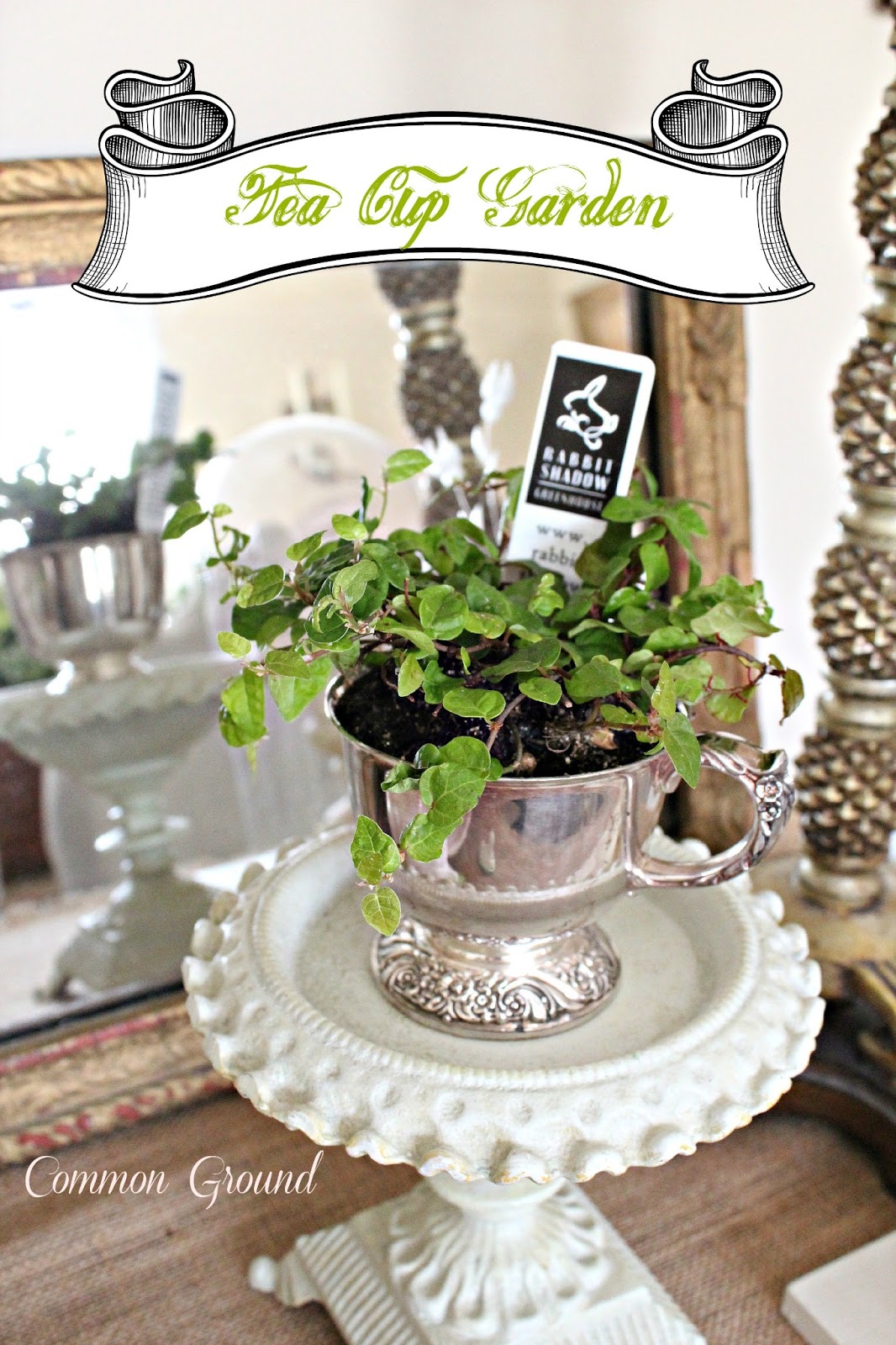 common ground : Tea Cup Garden