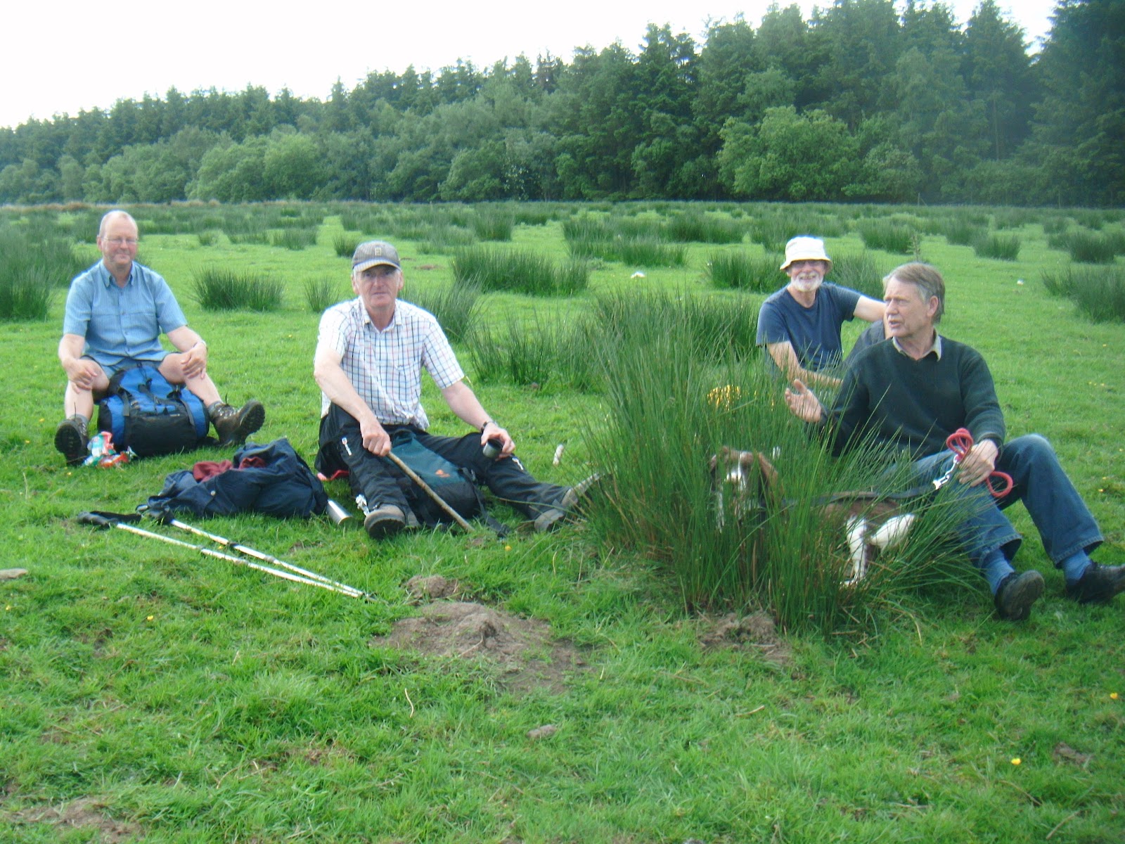 Adventures of the Early Ooters: 13 June - Blacksidend and Wedder Hill