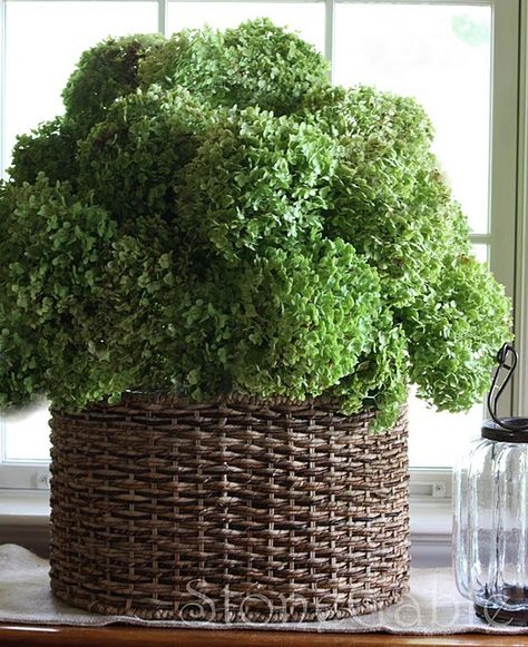 Hydrangea Hill Cottage: Moodboard Monday - Moss Green