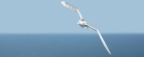LinkNotes: Festo's Smartbird a Robotic Bird