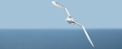LinkNotes: Festo's Smartbird a Robotic Bird