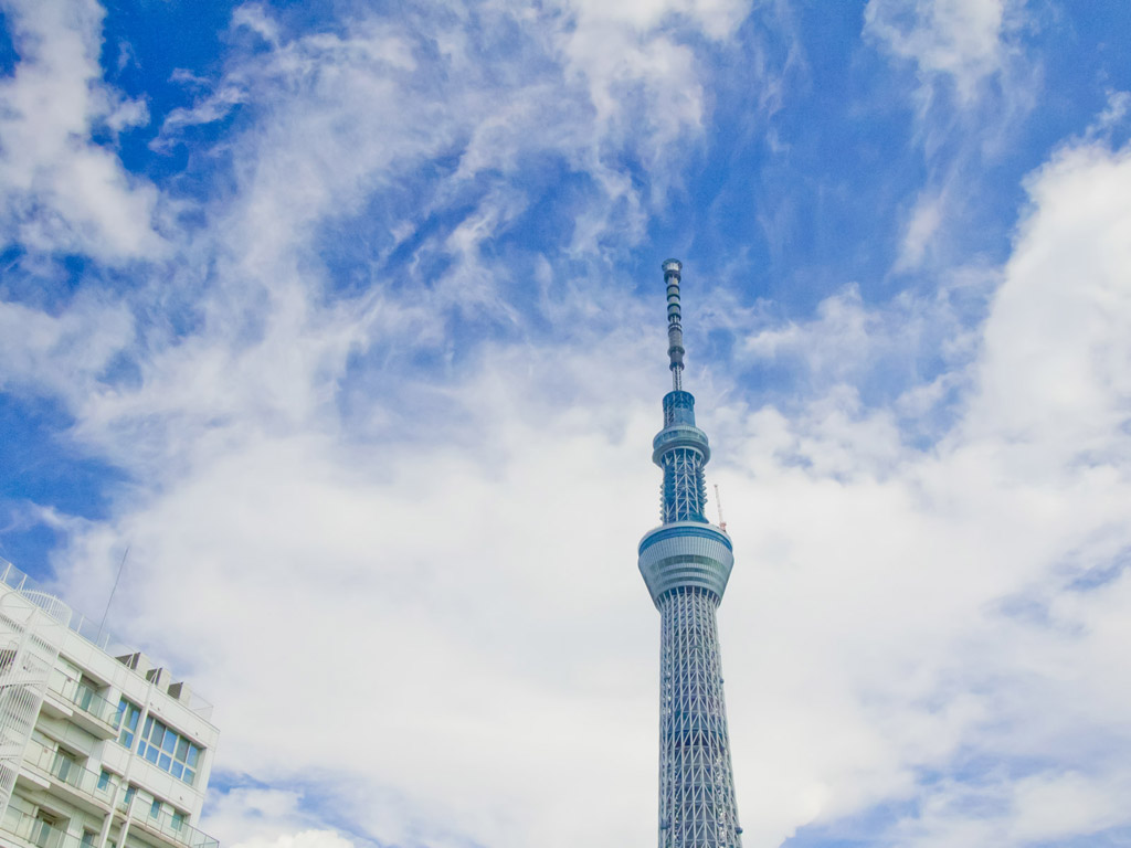 Indigo Blue for You : Kachi-iro 褐色