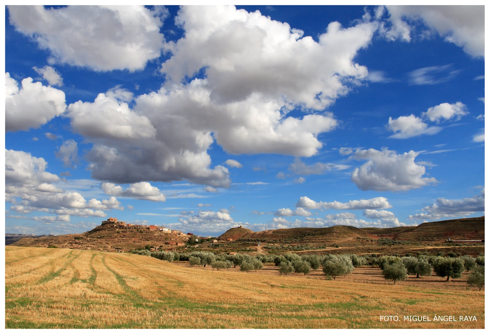 Imágenes de Alacón: PAISAJES DE ALACÓN