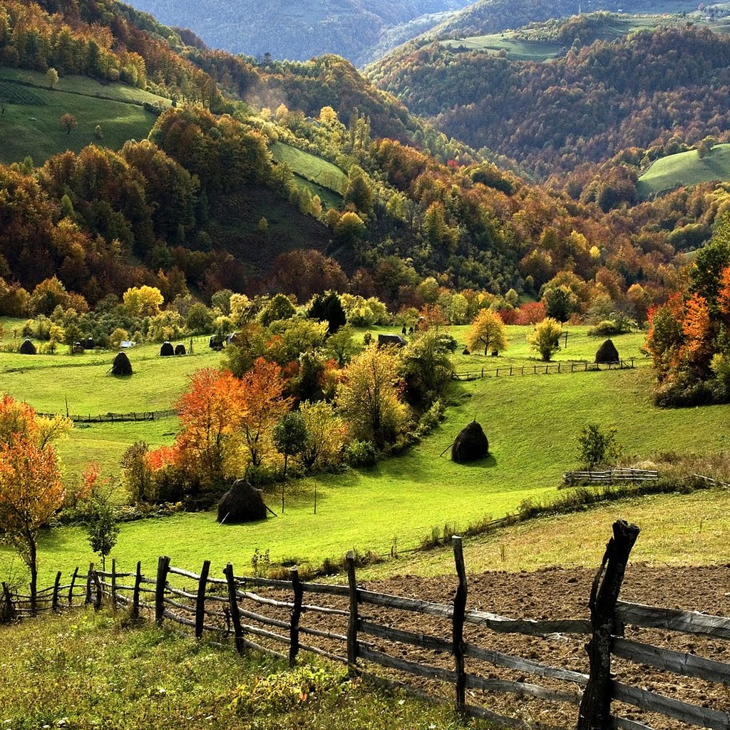 Natural Green Garden Wallpaper Wallpapers natural-green-garden-wallpaper-wallpapers