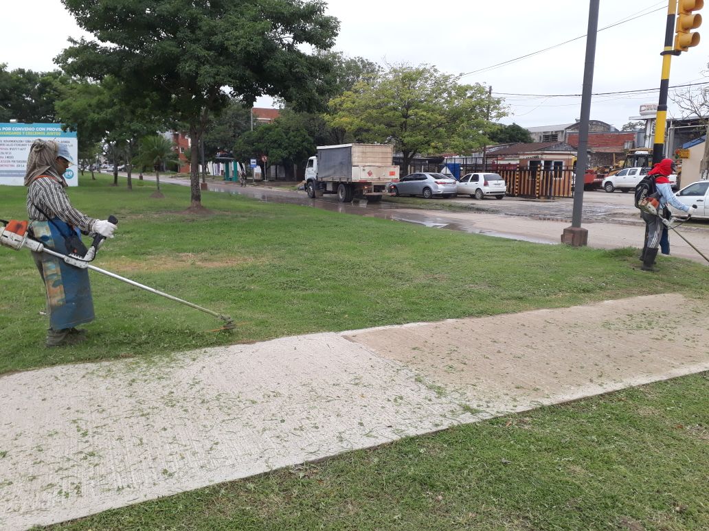 Tareas de desmalezado y limpieza integral - Siempre Formosa