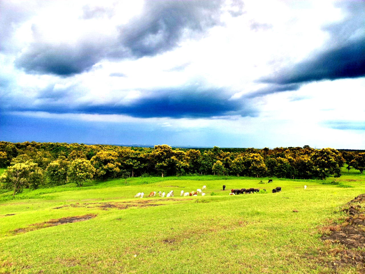 Adventure Unlimited !: Barbeque Ride @ DEGMA