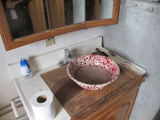 Partners Center of Expertise in Global and Community Health: Alaska ...