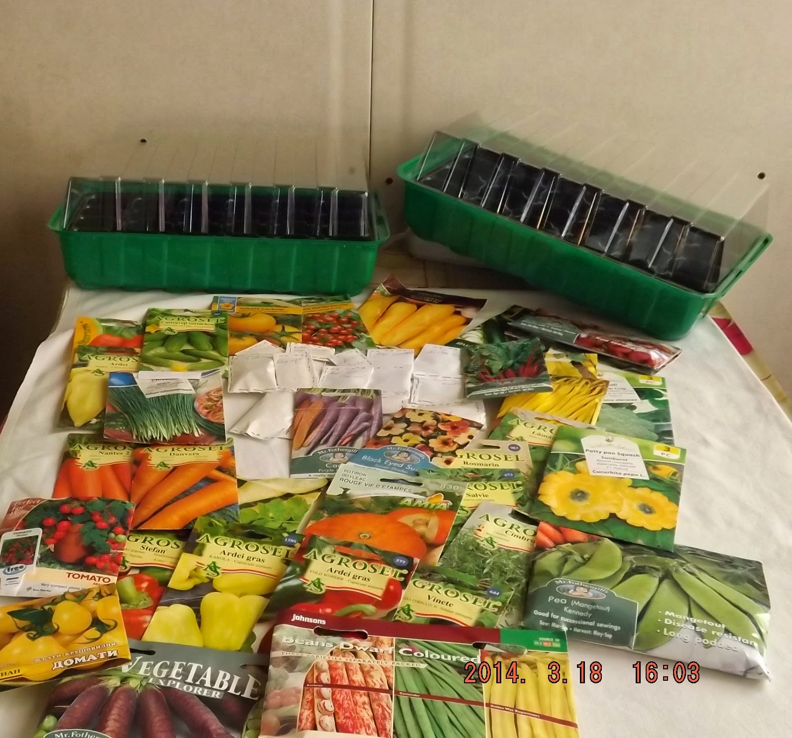 Gradinarit anotimp cu anotimp: Inmultirea simpla – prin seminte – 1001 ...