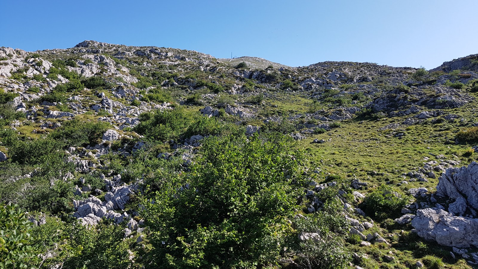 A lo bouzo: La Gamonal y Moncuevo [Aramo]