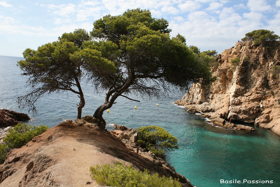 Cala Estreta - Randonnée - Palamós (Espagne) - Un aller retour littoral ...