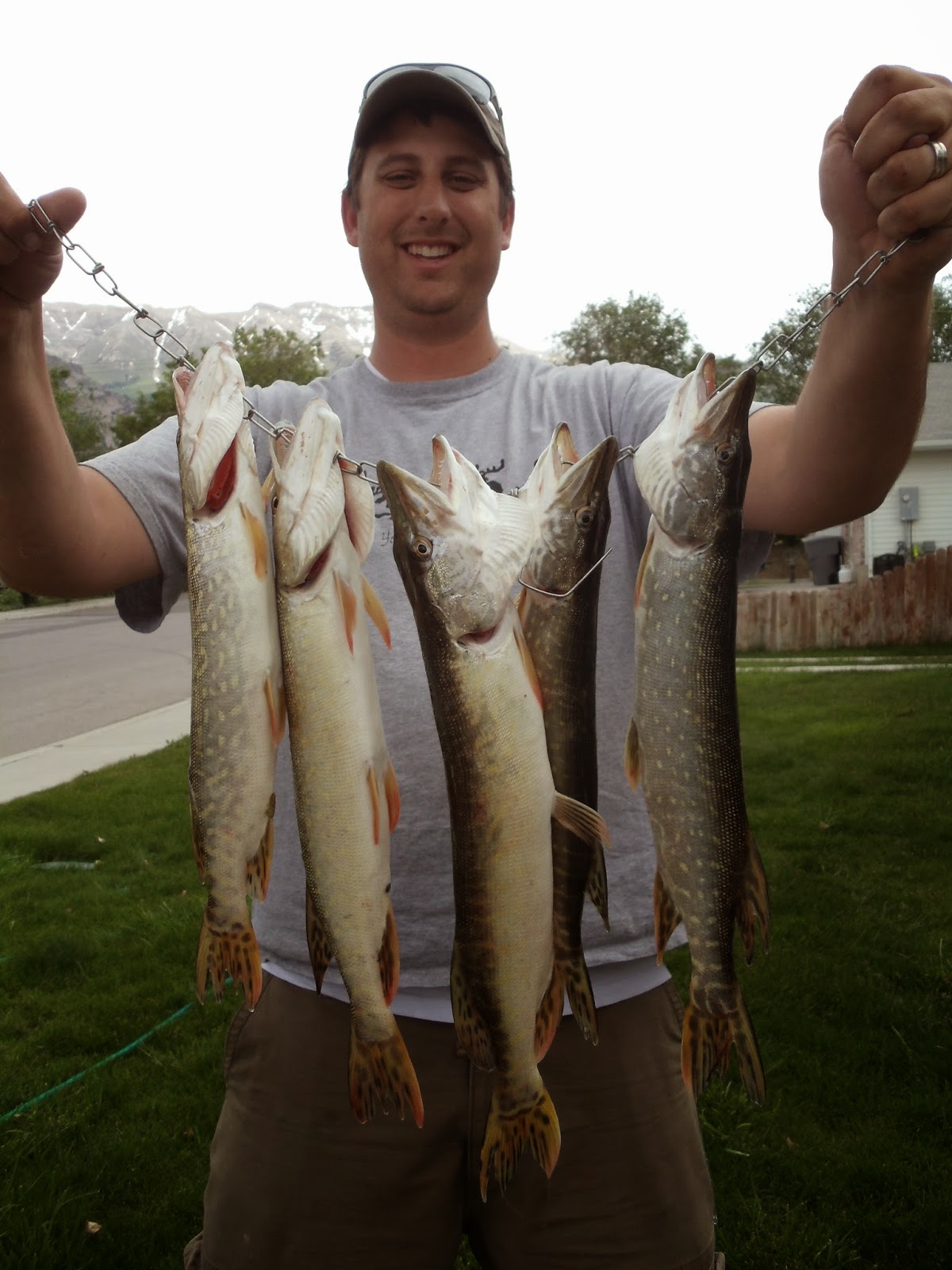 Utah Fisherman: Northern Pike