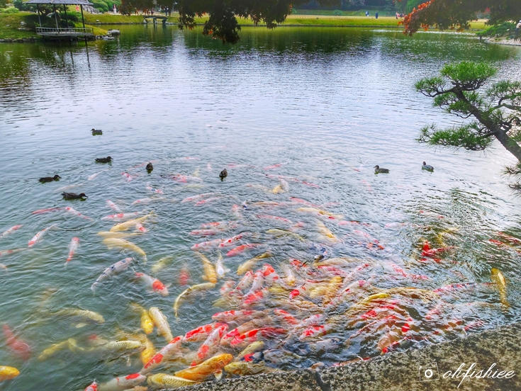 oh{FISH}iee: [TRAVEL] Okayama City (岡山市) Autumn Travel Guide