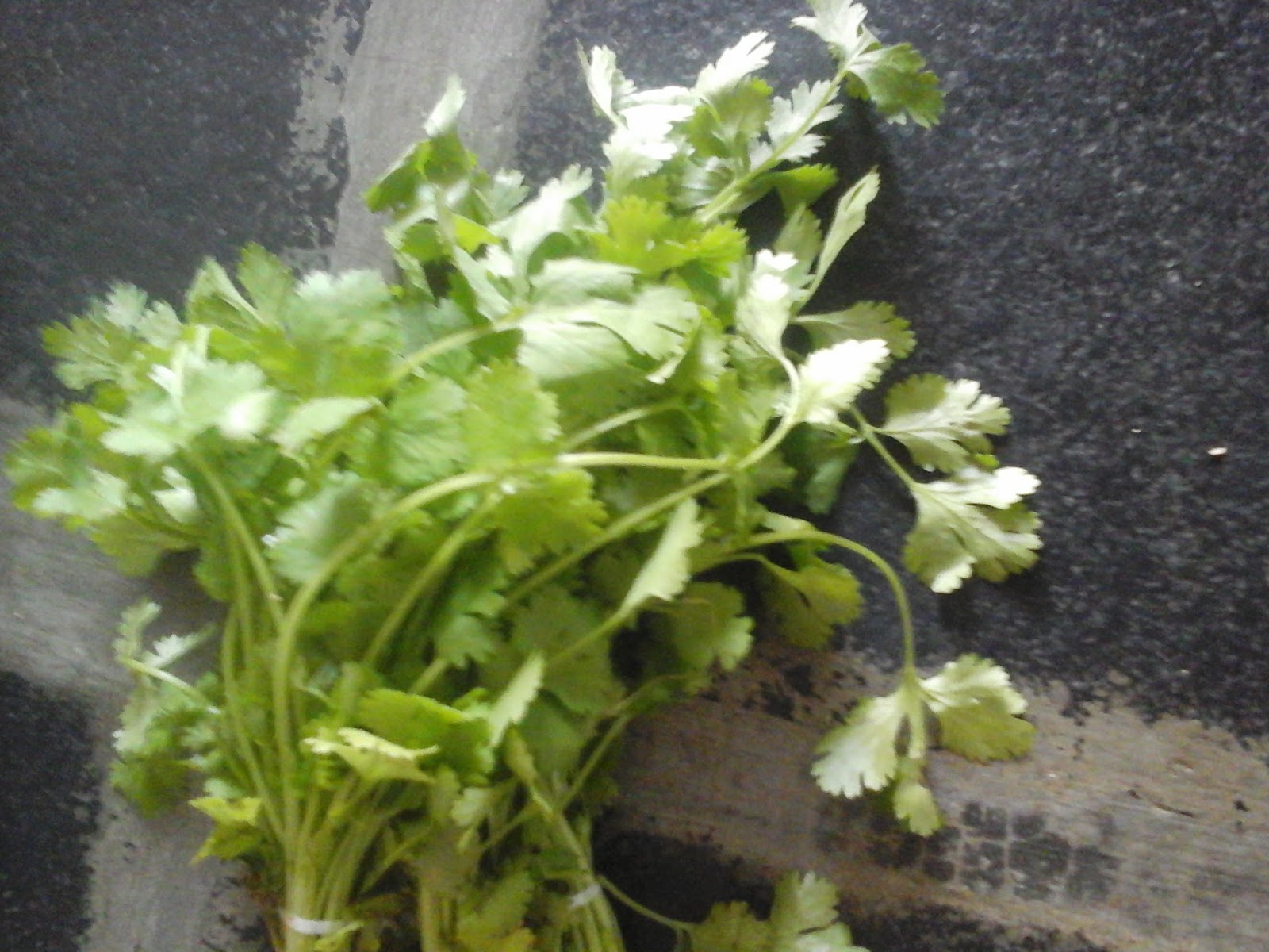 SVL Ayurvedic Healing Herbs: Kothimeera and its benefits