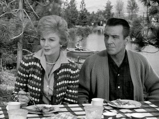 solidmoonlight: June's Dresses in "Leave it to Beaver"