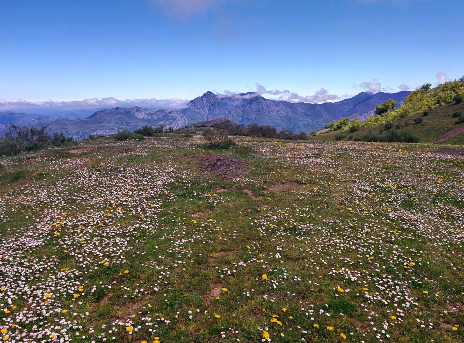 A lo bouzo: Alto de la Texera desde Cotobello [Aller]