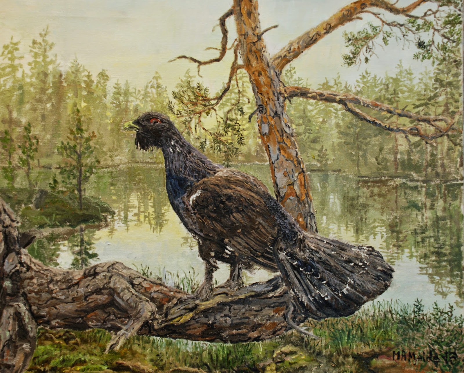 Kunst og Natur: Tiur