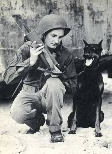 World War II in Pictures: Dogs of World War II