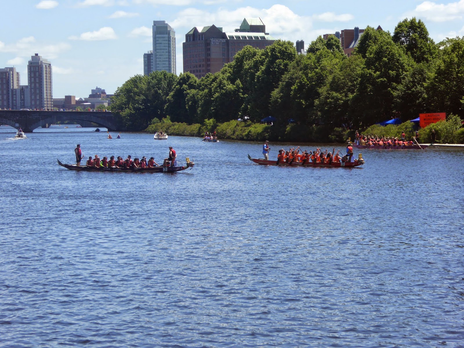 Spidermanzano: Boston Dragon Boat Festival