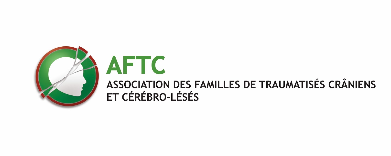 Les Beaux-Arts des TC: PARTENAIRES