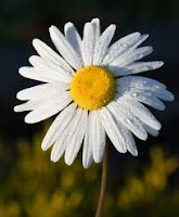 Part One: Chapter One | You Only Write So Much