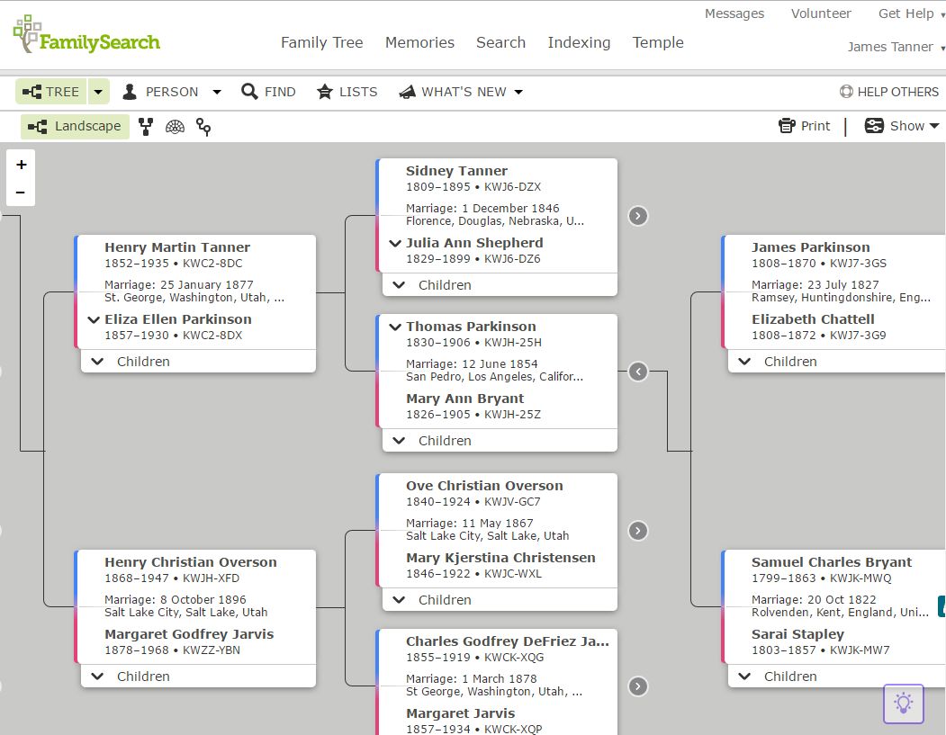 Rejoice, and be exceeding glad...: Why Use the FamilySearch Family Tree
