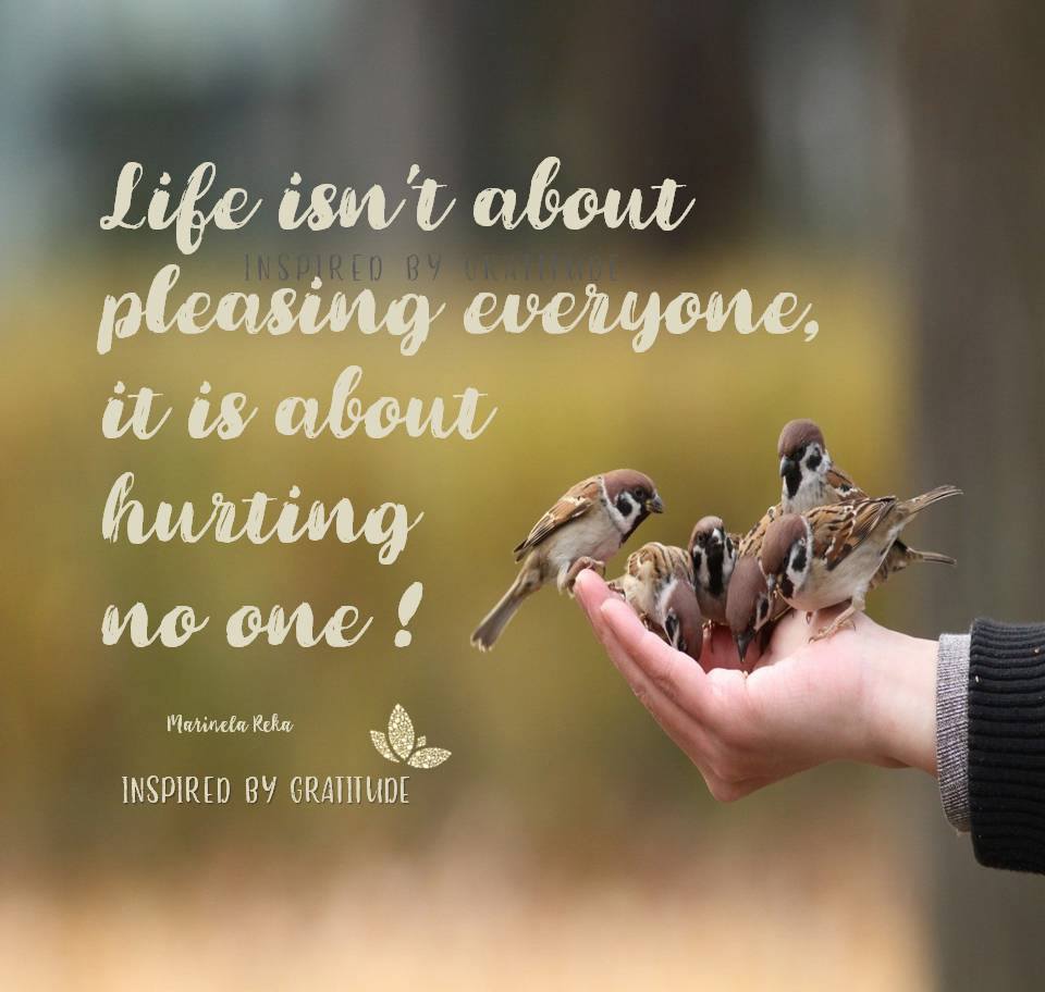 Linda's Peaceful Place: Mid-Week Pick Me Up