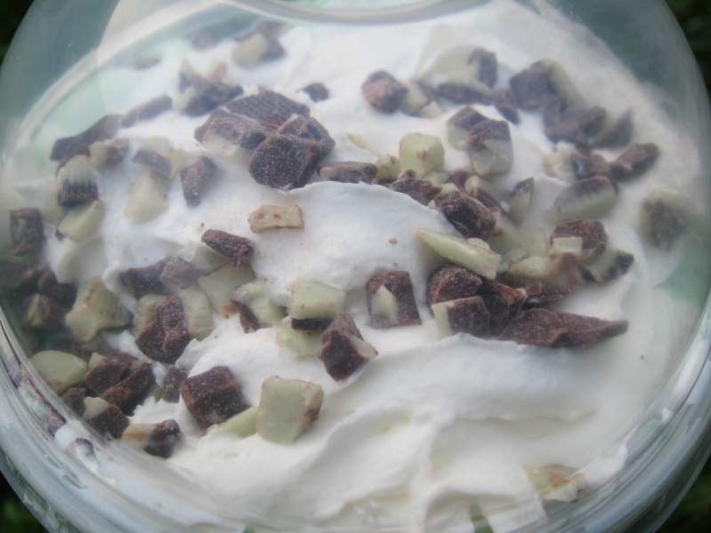 Review: Arby's - Mint Chocolate Swirl Shake