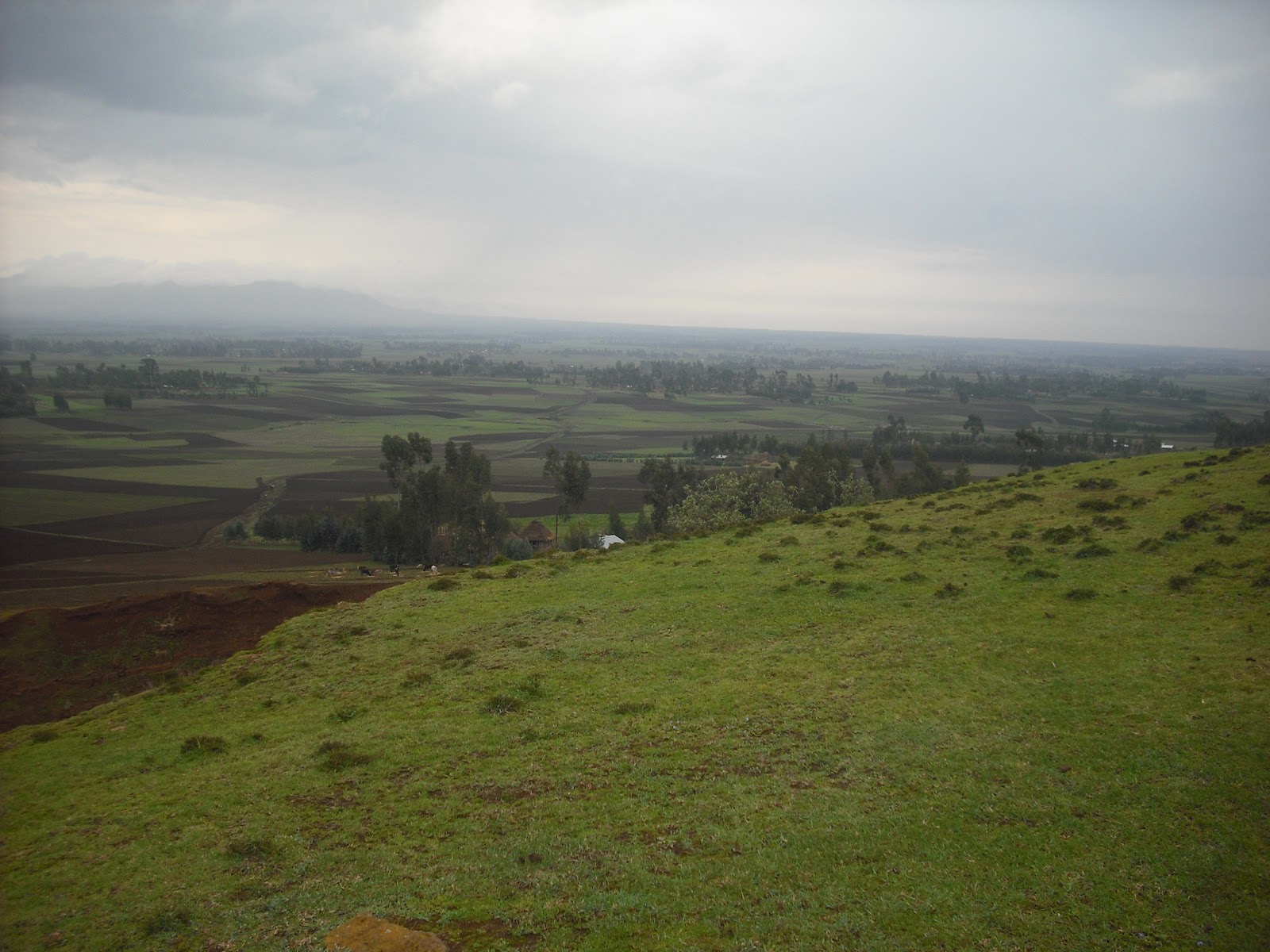 he who knows patience: the road to bekoji