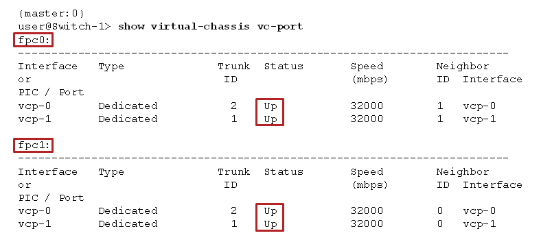 CCNP/JNCIS EN ESPAÑOL: Capítulo 6: Virtual Chassis