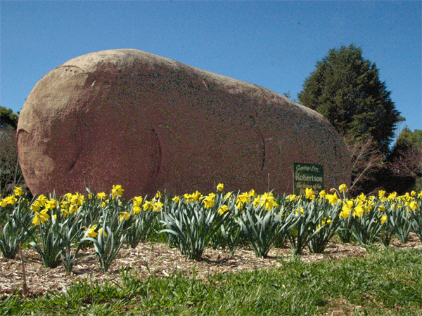 The Nature of Robertson: Big Potato trashed by local Paper