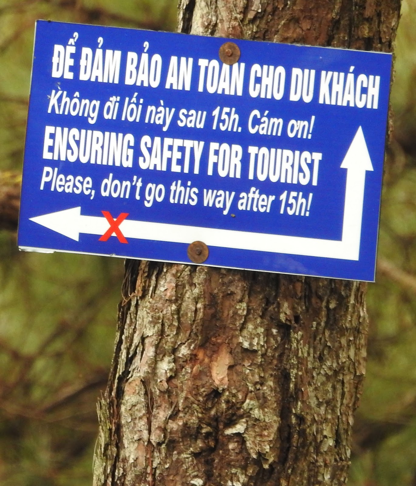 Good Morning Vietnam (GMV): 6 things about Mount Lang Biang you should know