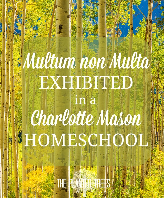 The Planted Trees: Multum Non Multa Exhibited in a Charlotte Mason ...