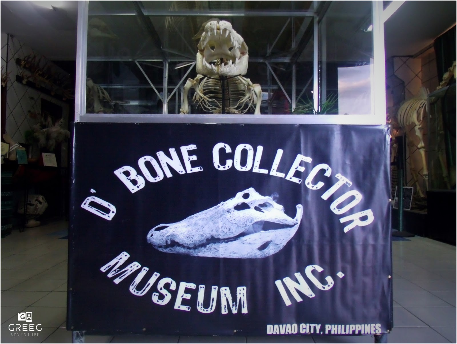 D' Bone Collector Museum Inc. | Greeg Adventure
