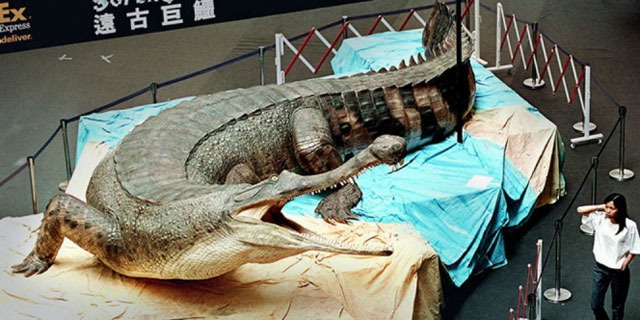 Hewan Purba yang Berukuran Super Besar Kerabatnya Ada Hingga Sekarang ...